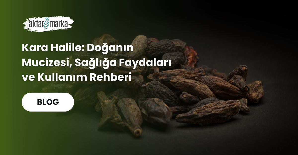 Kara Halile: Doğanın Mucizesi, Sağlığa Faydaları ve Kullanım Rehberi